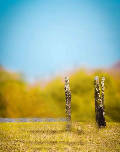 Snapseed Photo Editing Background full Hd | OyePhoto