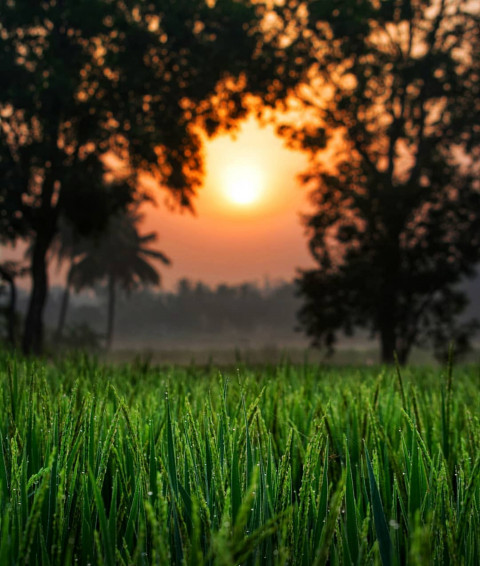 Sunlight Picsart Viral Photo Editing Background Full HD | OyePhoto