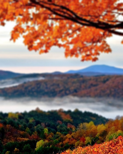 Sunset CB Picsart Blur Editing Background Download Full HD | OyePhoto