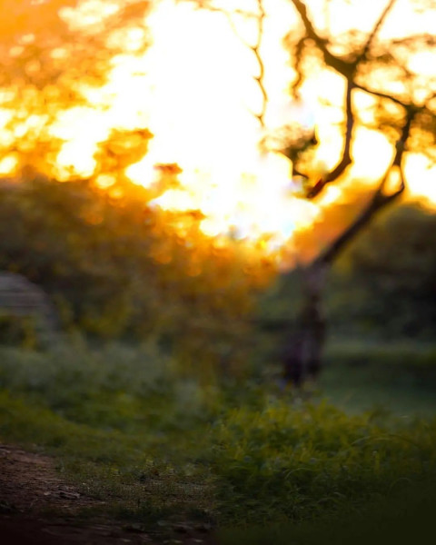 Sunset Viral Background For CB Picsart Photo Editing | OyePhoto