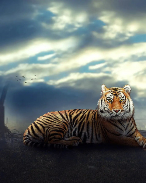 Tiger CB Picsart Editing Background Full HD Download | OyePhoto
