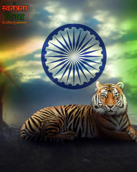 Tiger Picsart Independence Day HD Background Download | OyePhoto