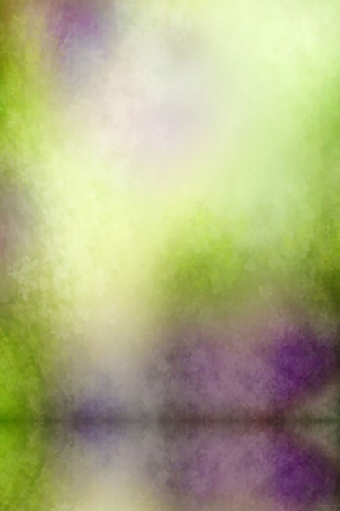 Tree Forest Outdoor Studio Background HD Download New | OyePhoto