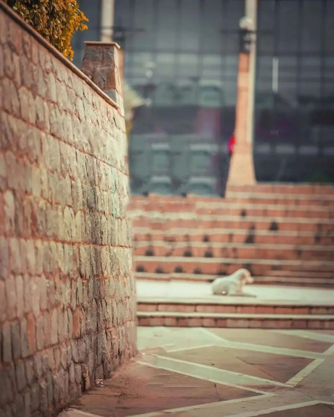 Wall Snapseed Background HD Images Free Download | OyePhoto