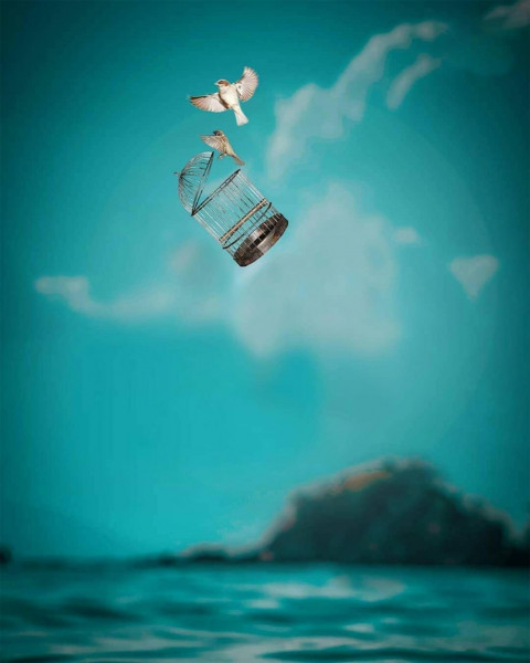 Wing With Birds Manipulation Photo Editing BAckground HD | OyePhoto