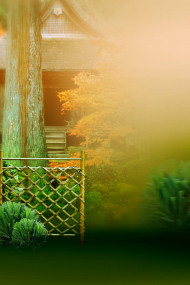 Backdrop Studio Editing Background Download Image | OyePhoto