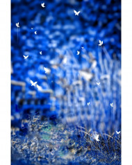 Blue Nature Photo Editing Background HD For Photoshop | OyePhoto