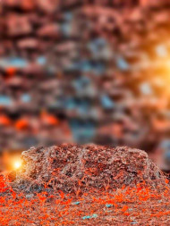 Viral Fire CB Photo Editing Background Free | Image Free Download