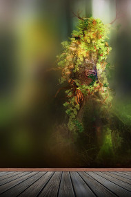 Tree Outdoor Studio Background HD Download Photo | Image Free Download