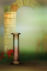 Tree Forest Outdoor Studio Background HD Download HD | Image Free Download