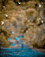 Light PicsArt Editing New Background Download Full HD | Image Free Download