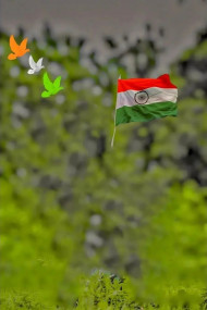 15 August Tiranga Red Fort Background HD For CB Picsart Photo Editing ...