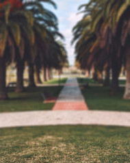 Nature Green Garden Photo Editing Background HD | OyePhoto