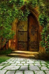 Nature Indoor Studio Background HD Download Img | OyePhoto