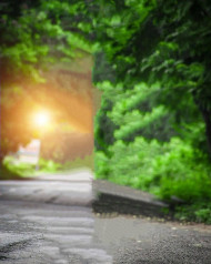 Nature Instagram Trending Background New For CB & Picsart | OyePhoto