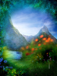 Tree Outdoor Studio Background HD Download Photo | Image Free Download