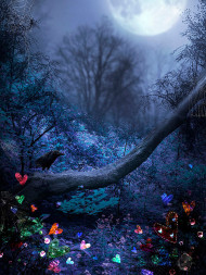 Nature Photo Studio Background HD Images Ultra HD | OyePhoto
