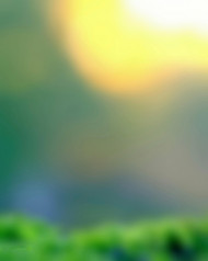 Nature Picsart CB Editing Background Full HD Download | OyePhoto