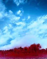 Nature Sky Background For CB Picsart Photo Editing Full HD | OyePhoto