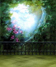 Nature Studio Wallpapers HD Background Free Img | OyePhoto