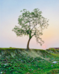 Photoshop Nature Background HD Downloaad For CB Editing Free | OyePhoto