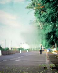 Snapseed Tree Nature Wallpapers HD Background For Editing | OyePhoto