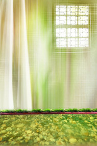 Forest Outdoor Studio Background Download HD | Image Free Download