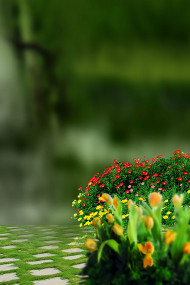 Studio Outdoor Background Wallpapers Download Photo | OyePhoto