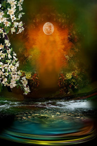 63+ Outdoor Studio Background | OyePhoto