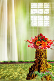 Studio Outdoor Nature Background Download Photo | OyePhoto
