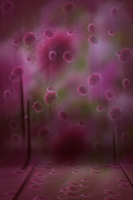 Studio Portrait Wallpaper Background Download New | OyePhoto