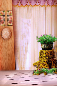 Tree Outdoor Studio Background HD Download Photo | Image Free Download