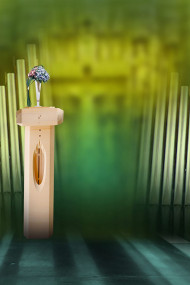 Tree Forest Outdoor Studio Background HD Download Photo | OyePhoto