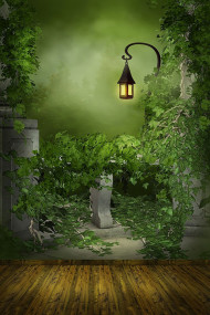 Tree Outdoor Studio Background HD Download | OyePhoto