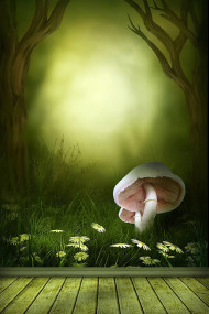 Tree Outdoor Studio Background HD Download Photo | OyePhoto