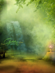 Tree Photo Studio Background HD Images Download | OyePhoto